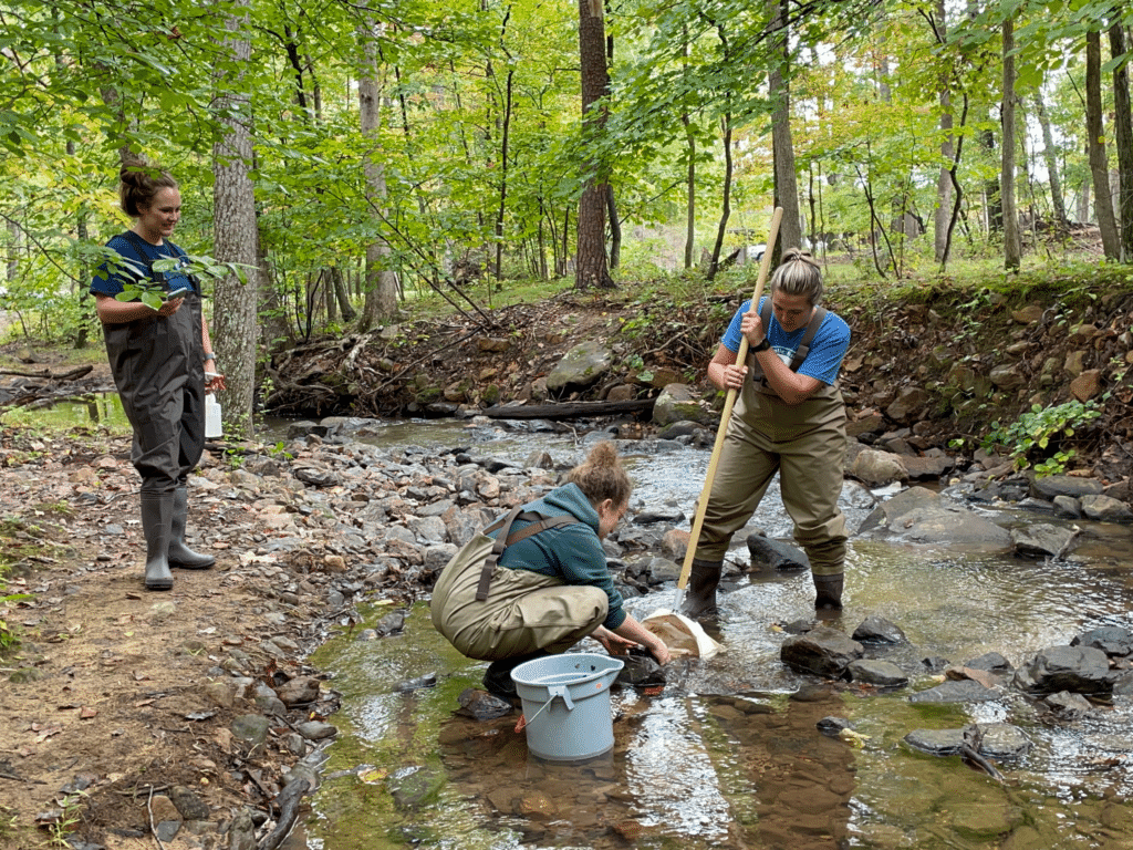 The CMC Heads to WV for Protocol Trainings - Chesapeake Monitoring ...