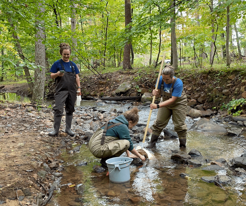 Tier 2 Benthic Monitoring - Chesapeake Monitoring Cooperative